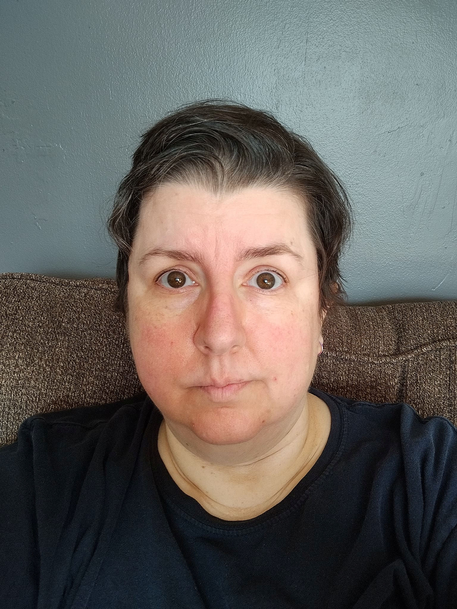 Dana Seilhan – tongue-tied and twisted, just an earthbound misfit, I